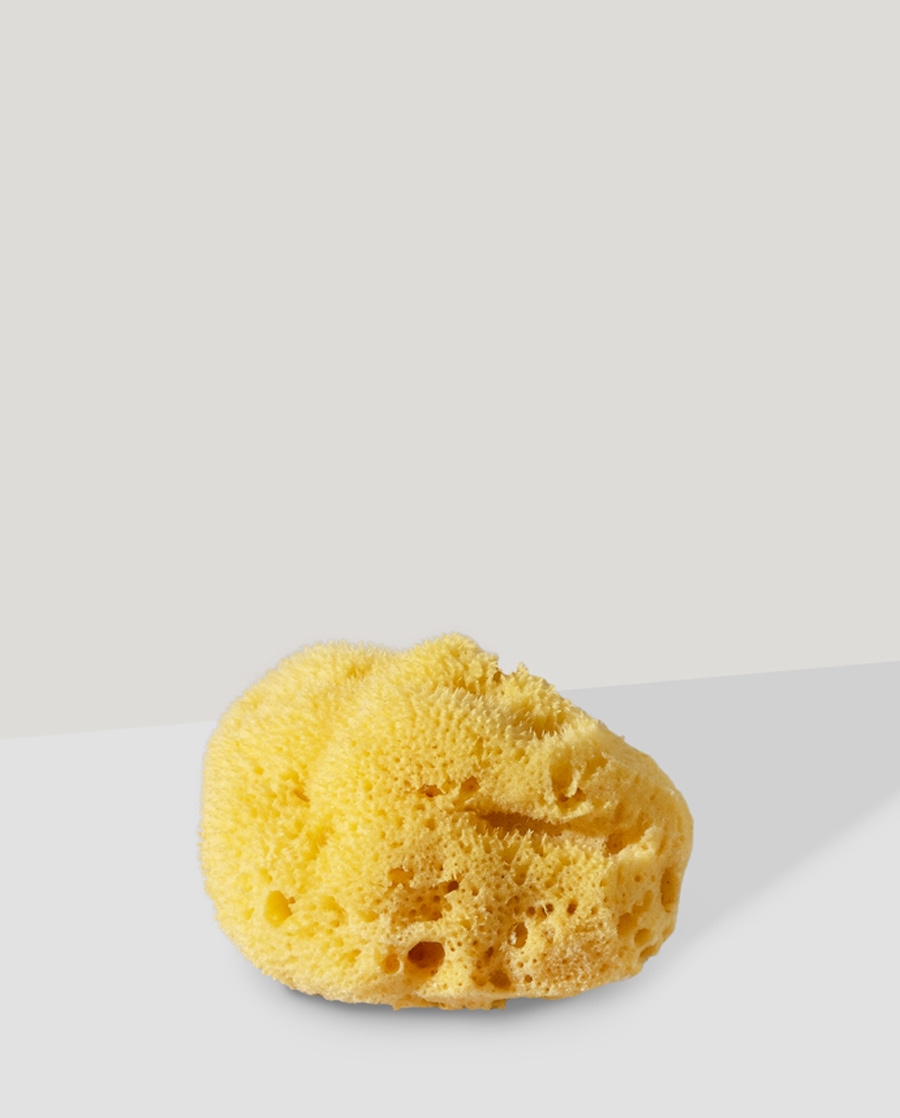 Natural sea sponge (dense) - STENDERS Cosmetics