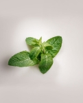 Revitalising gel scrub Citrus & Mint - STENDERS Cosmetics