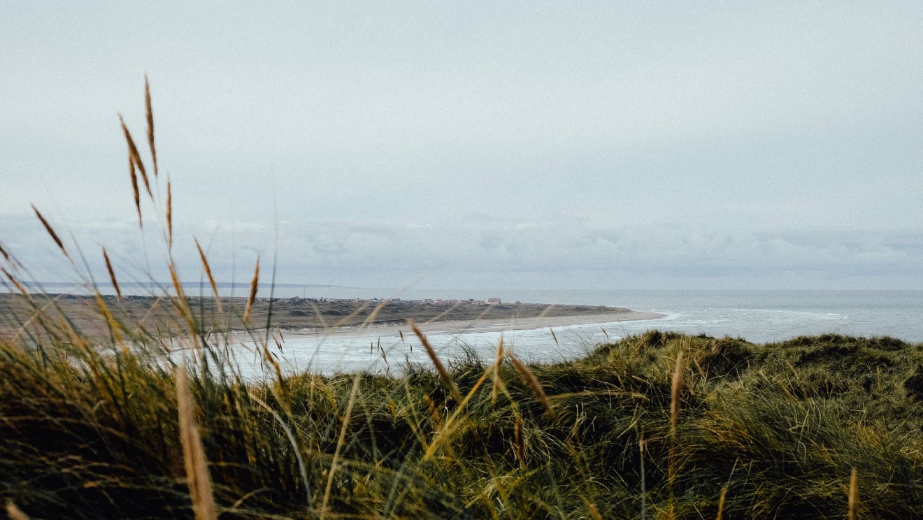 Sustainability - STENDERS Cosmetics